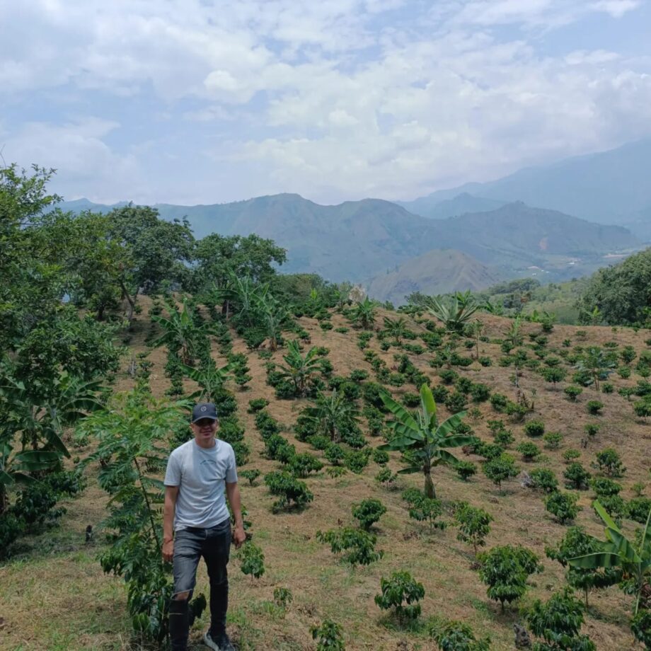 KunDe Coffee | Coffee Green Beans Direct Trade To China